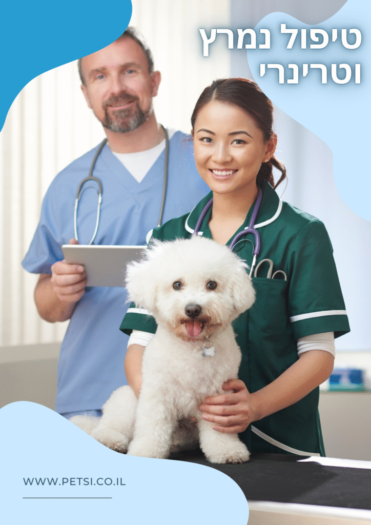 טיפול נמרץ וטרינרי - Petsi - השוואת ביטוחי בריאות לכלבים וחתולים