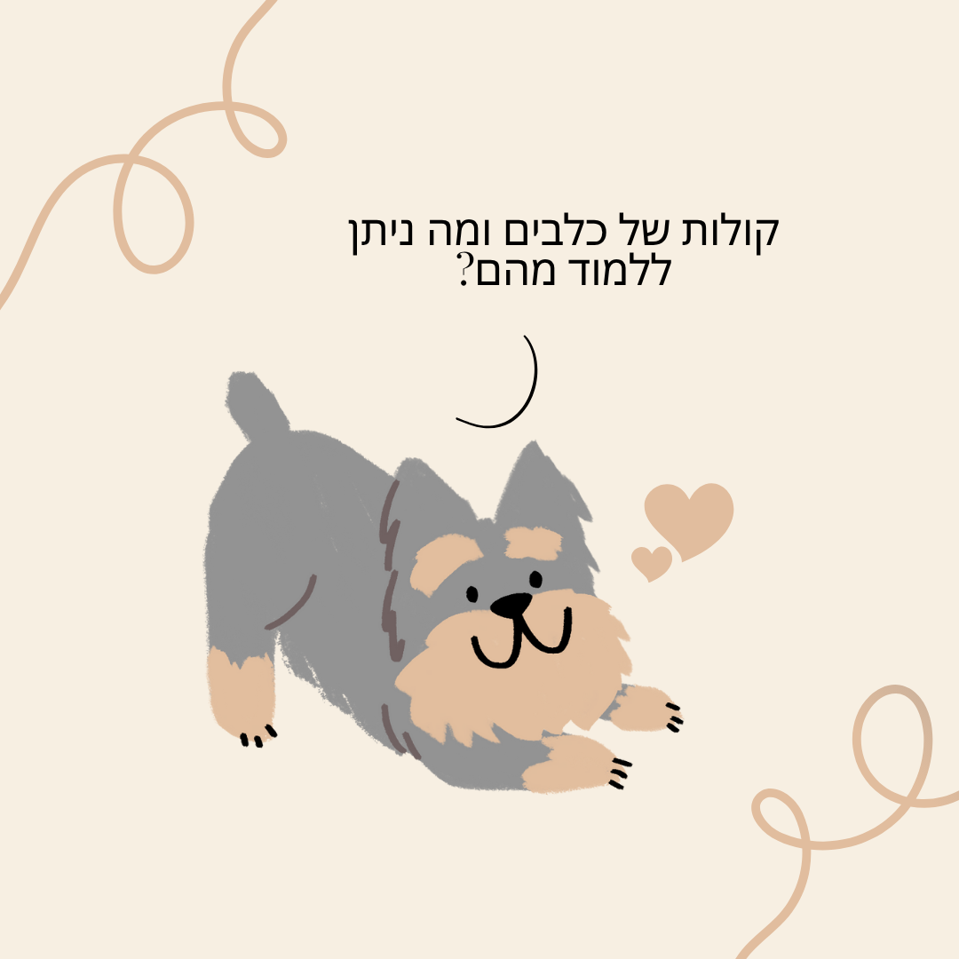 קולות של כלבים - Petsi - השוואת ביטוחי בריאות לכלבים וחתולים