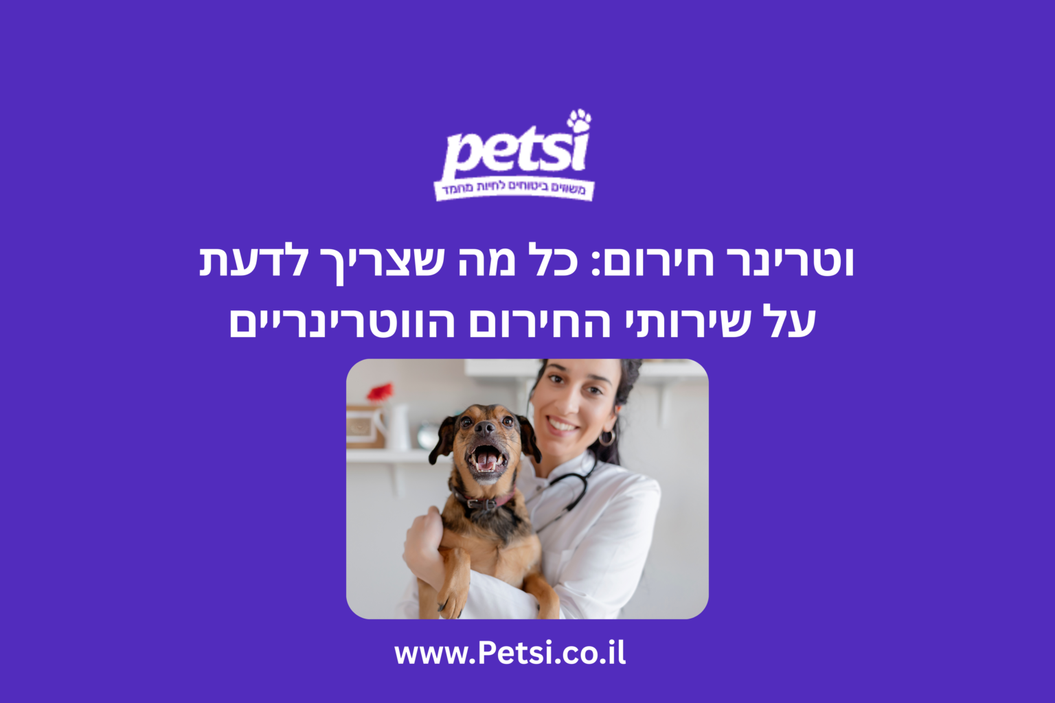 וטרינר חירום - Petsi - השוואת ביטוחי בריאות לכלבים וחתולים